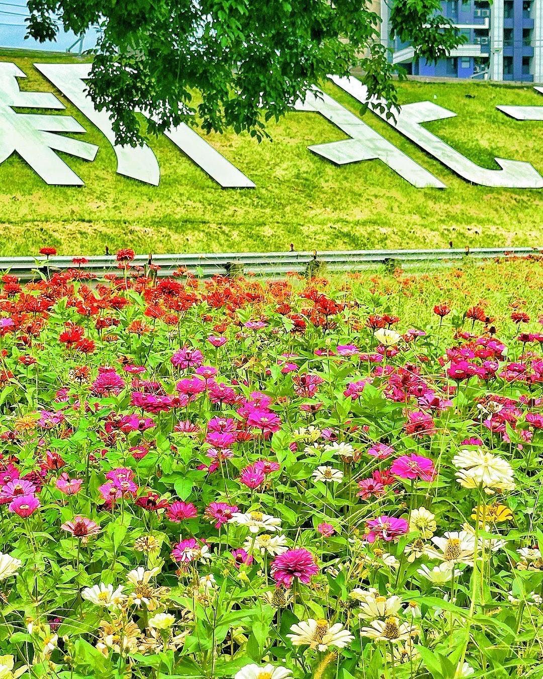 New Taipei City Travel